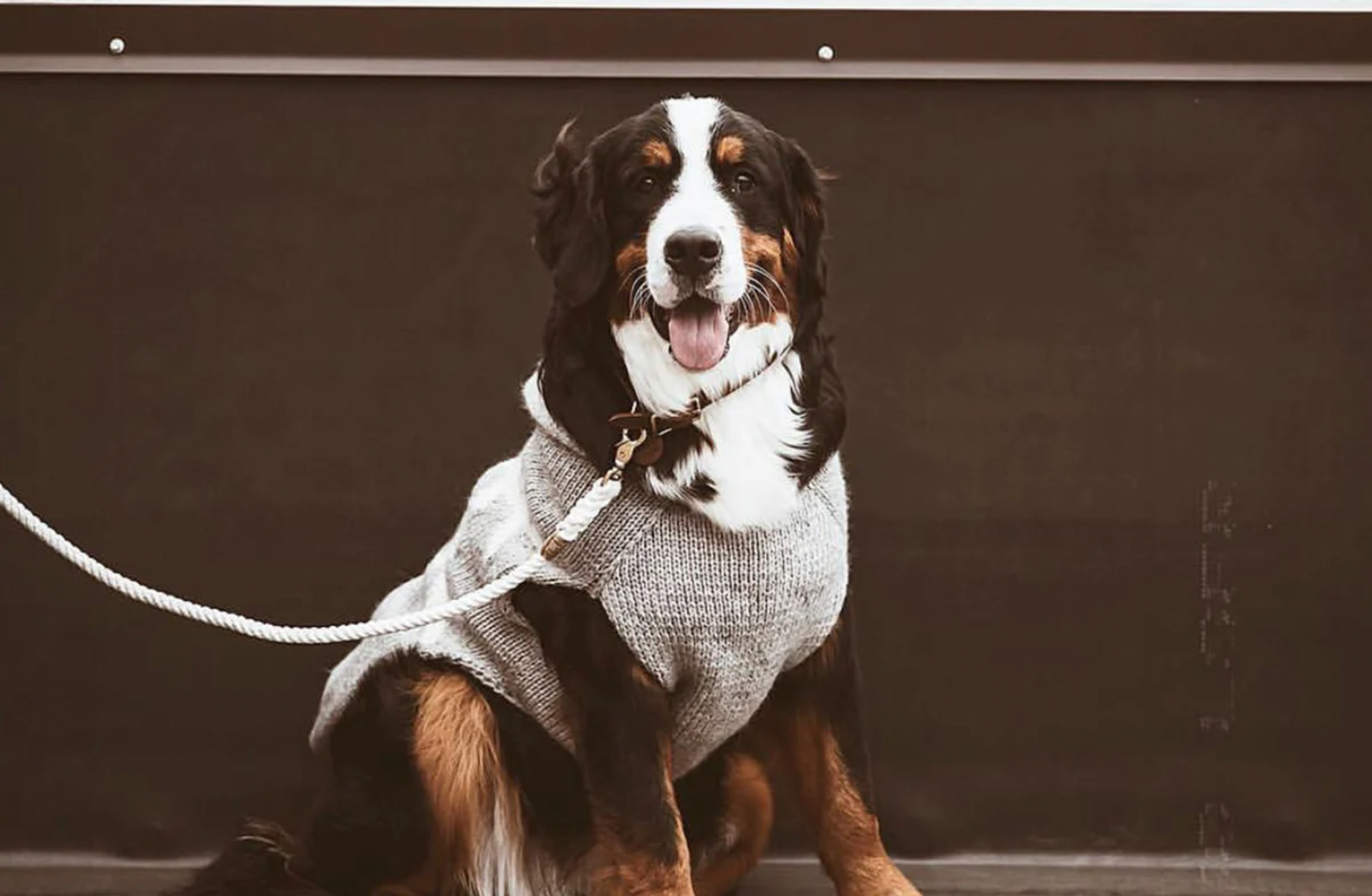 Howell Pet Originals | Dog Leashes, Rope Dog Collars & Dog Bandanas